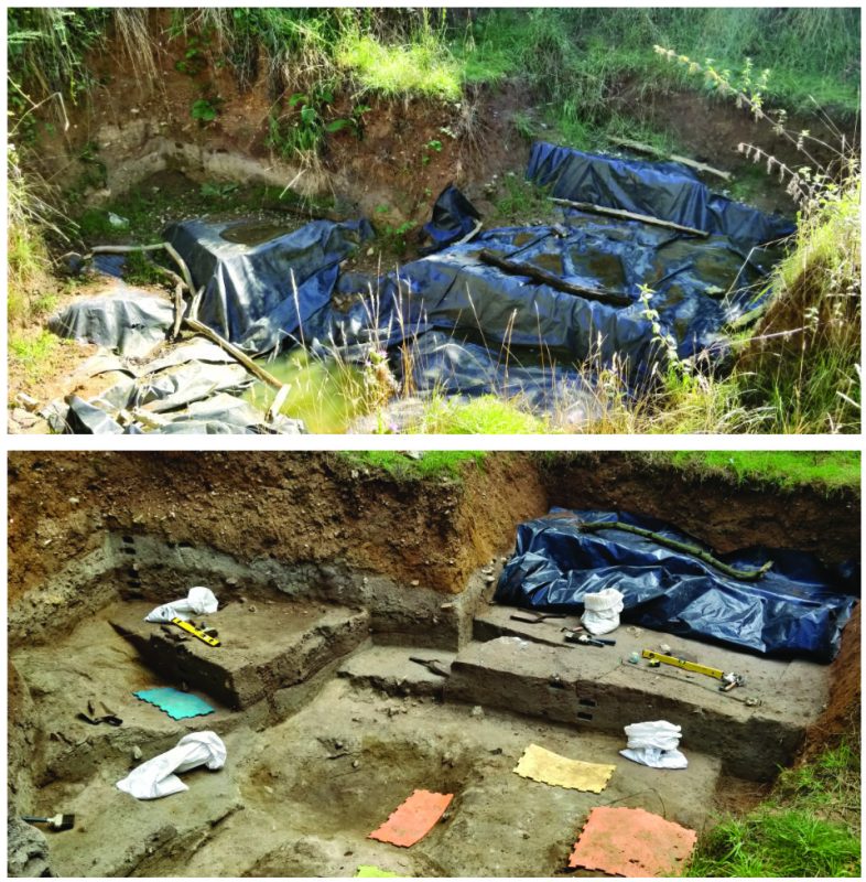 Blog – Pathways to Ancient Britain